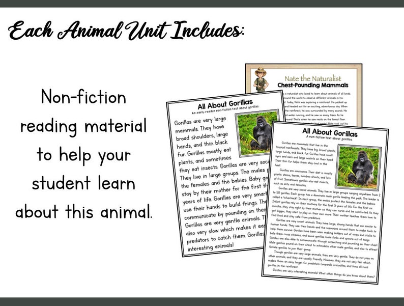 All About Gorillas- Animal Science Unit - Etsy