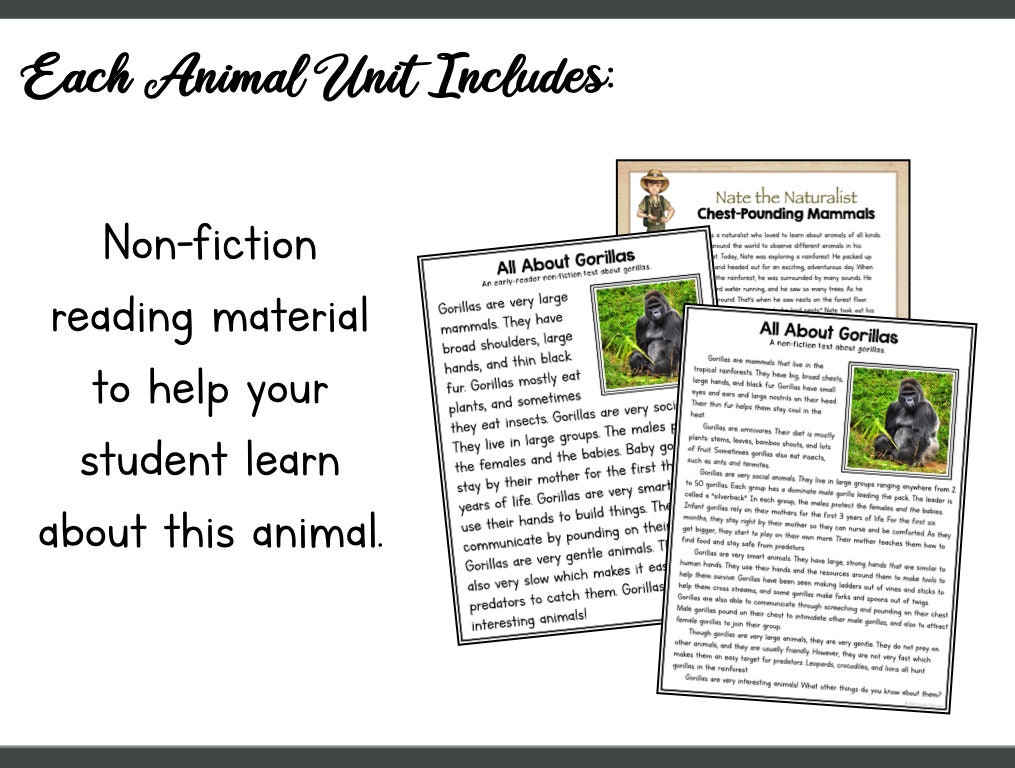 All About Gorillas- Animal Science Unit - Etsy