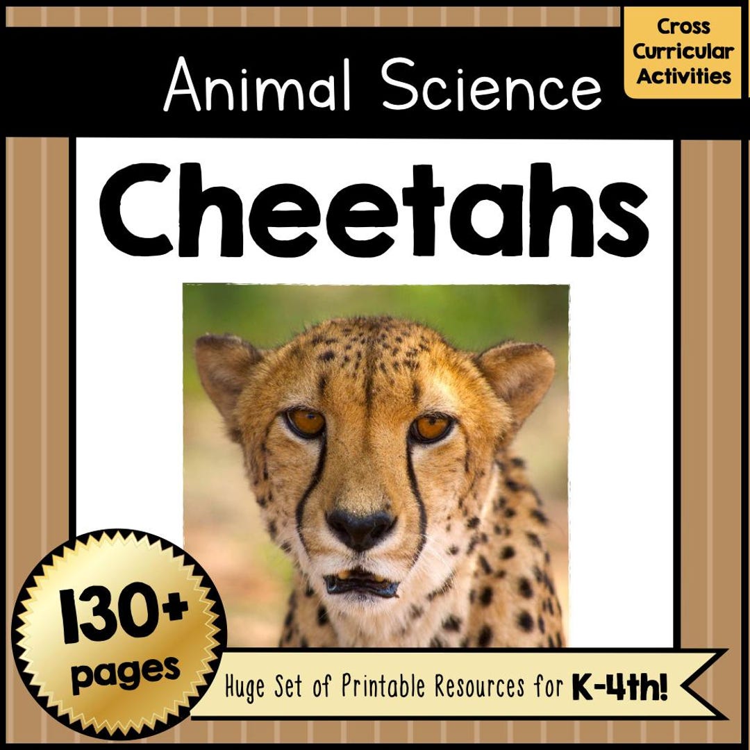 CHEETAS Animal Adaptation Science Study Unit Early Writing Learning ...