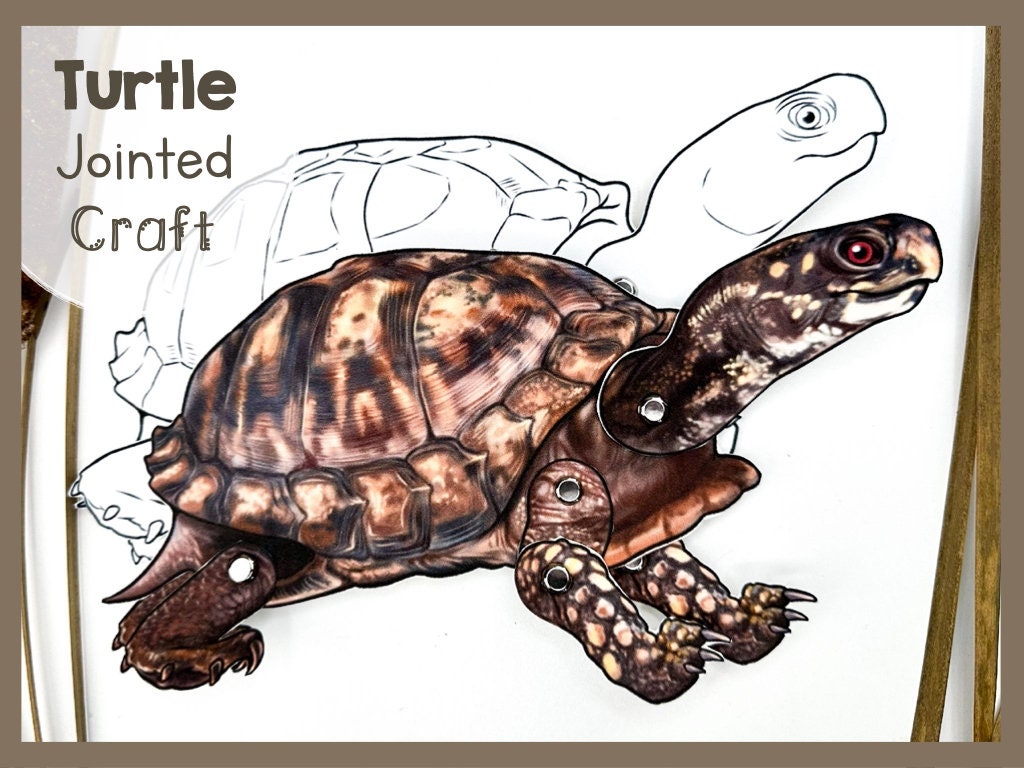 Articulated Turtle Craft Kit Printable Turtle Template Flexible Animal ...