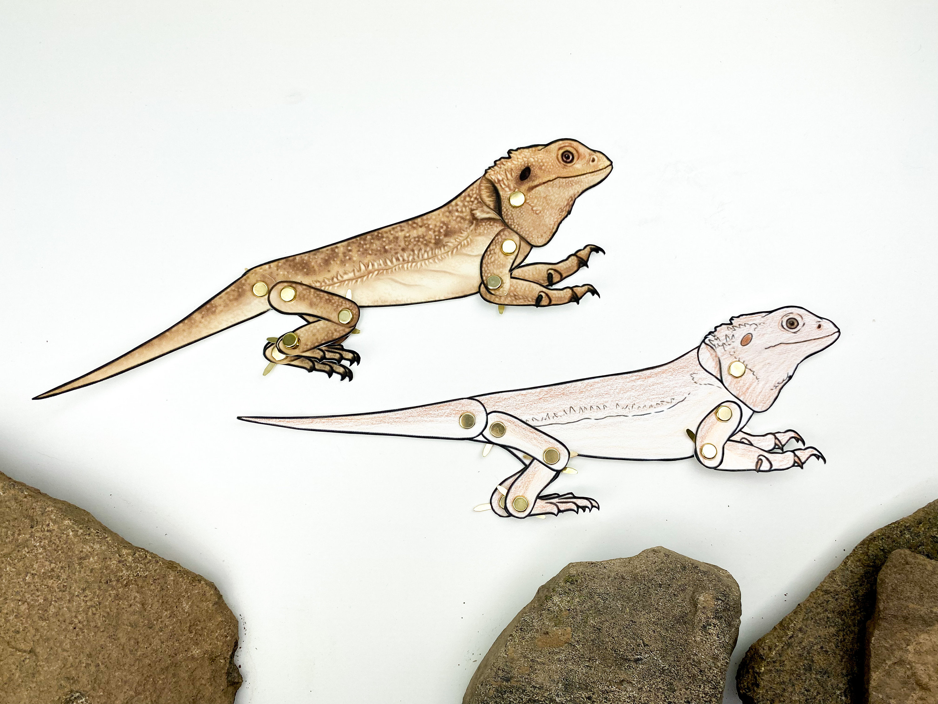 Articulated Lizard Craft Kit | Printable Joint Animal Template for ...
