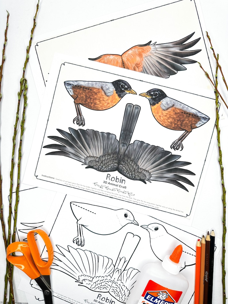 ROBIN 3D Paper Craft Template PDF | Printable DIY Hanging Bird Model ...