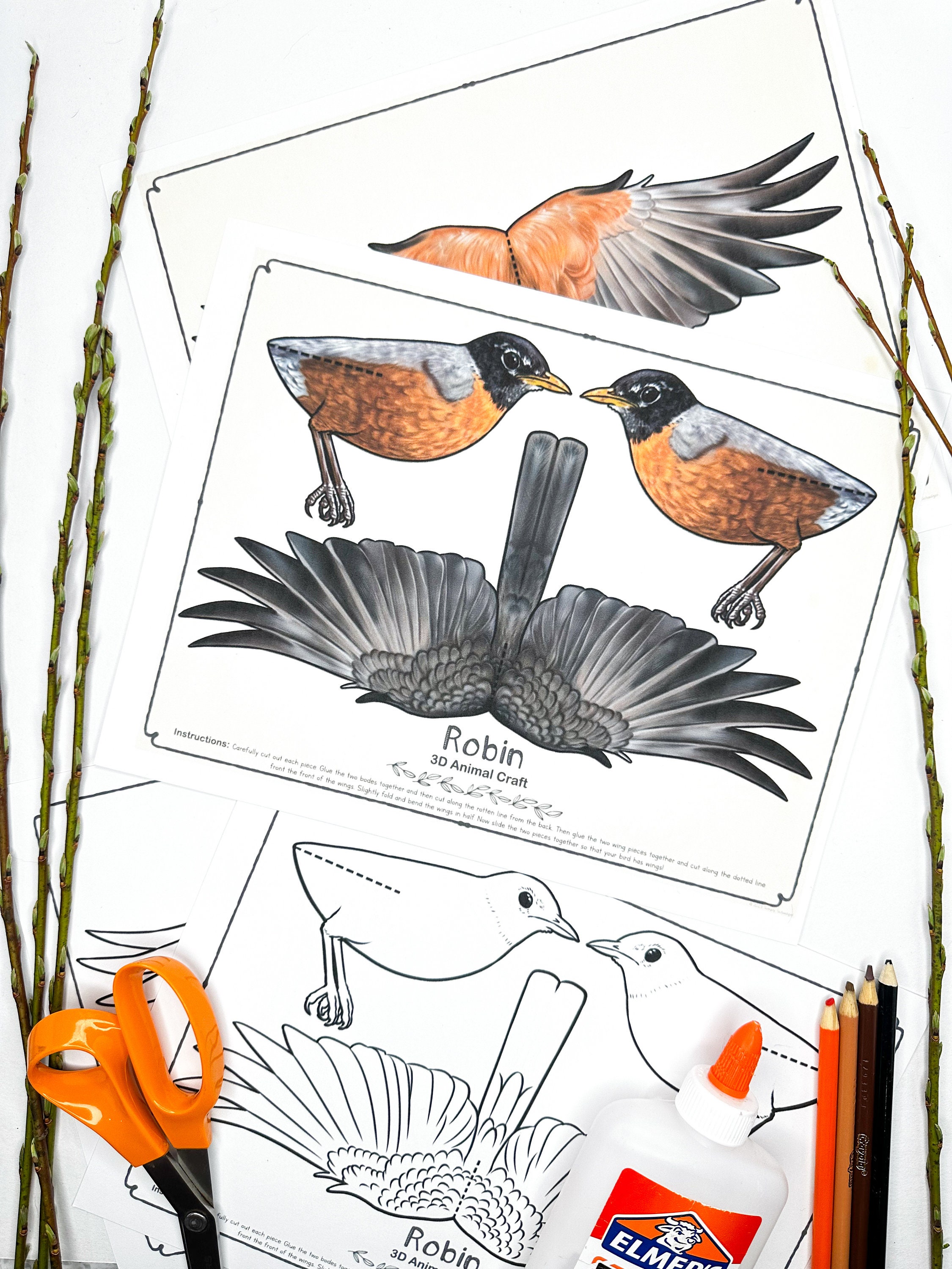 Robin 3D Paper Craft Kit | Hanging Bird Template | Nature Enthusiasts ...