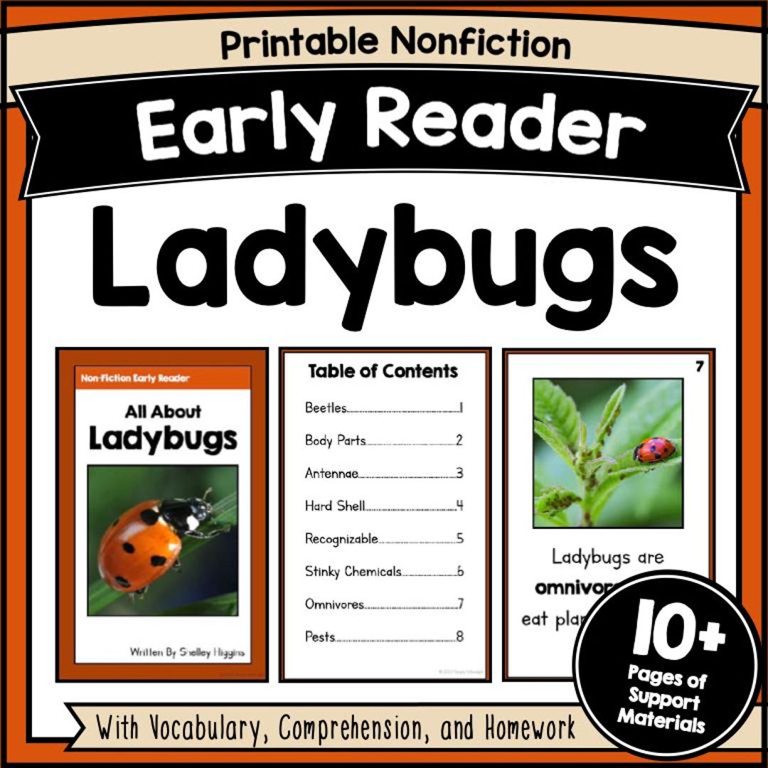 LADYBUGS Learn to Read Comprehension Worksheets Kindergarten 1st-2nd ...