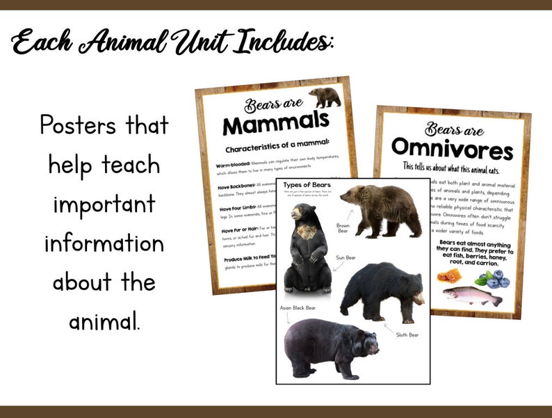 All About Bears Animal Science Unit - Etsy