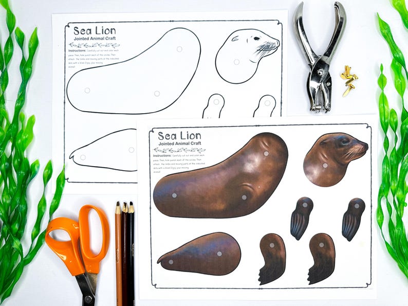 Printable JOINTED Sea Lion Puppet Craft Template | DIY Articulated ...