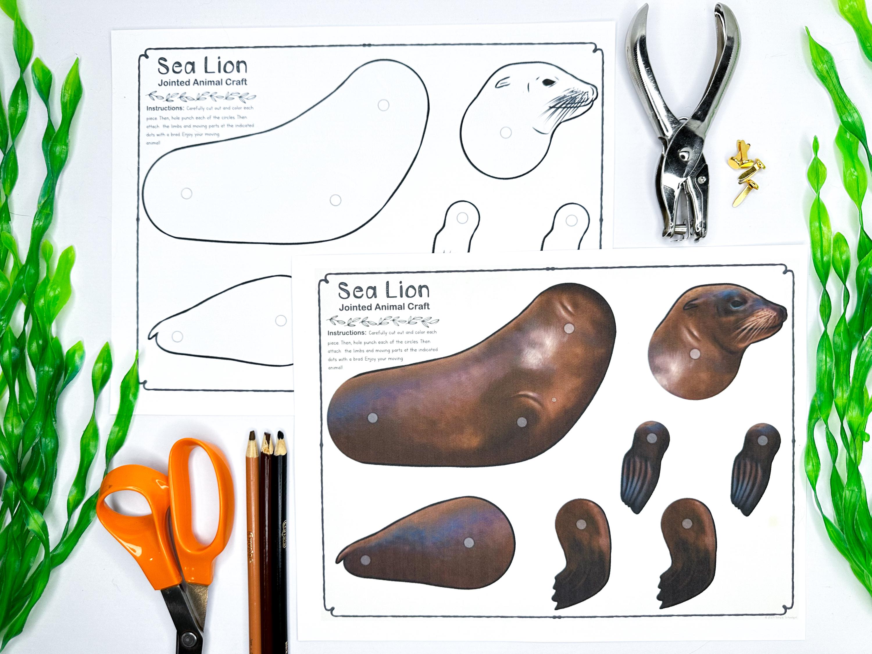Printable JOINTED Sea Lion Puppet Craft Template | DIY Articulated ...