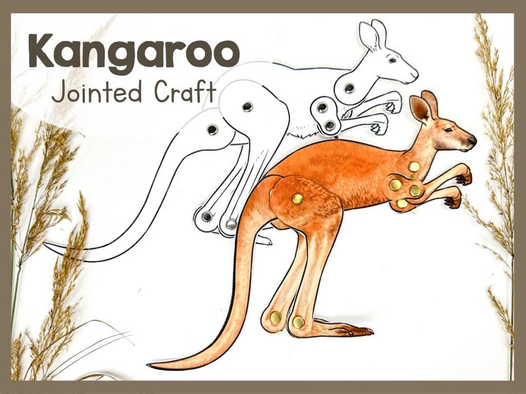 Articulated Kangaroo Craft Template | Fun Moveable Animal Craft for ...
