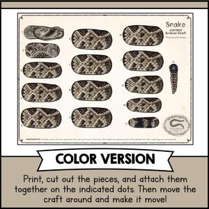 Printable Articulated SNAKE Puppet | DIY Jointed Animal Craft Template ...