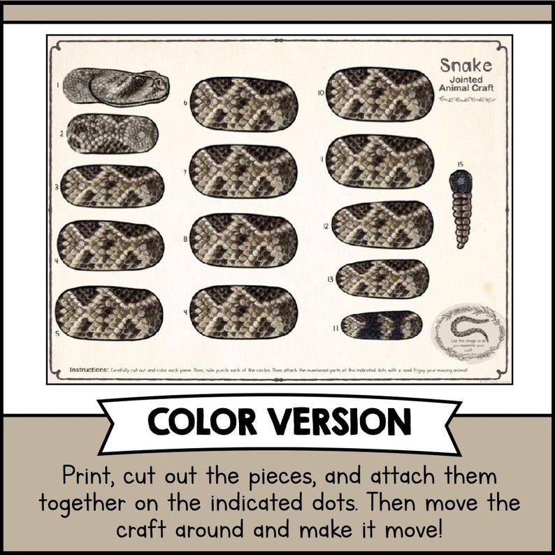 Printable Articulated SNAKE Puppet | DIY Jointed Animal Craft Template ...