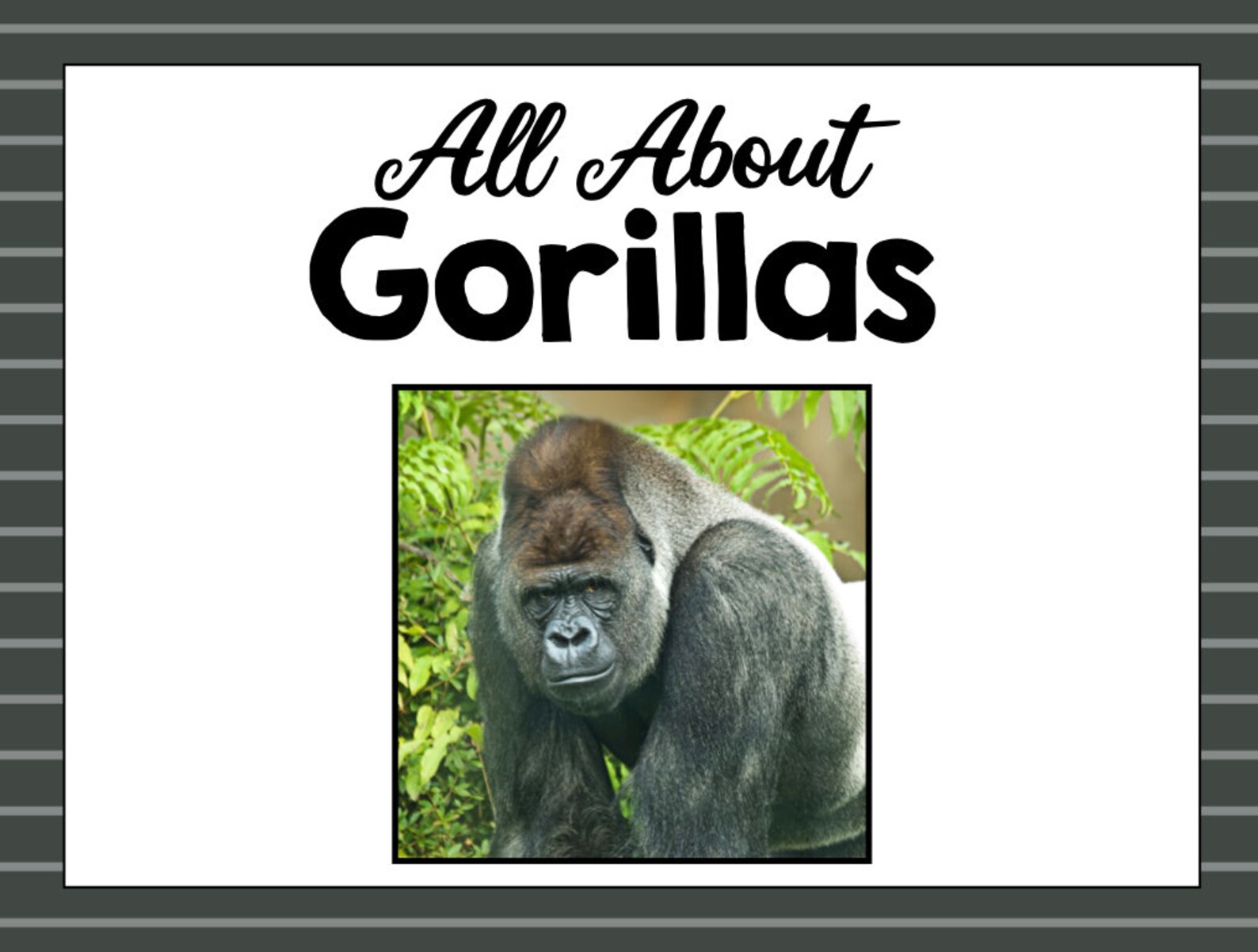All About Gorillas- Animal Science Unit - Etsy
