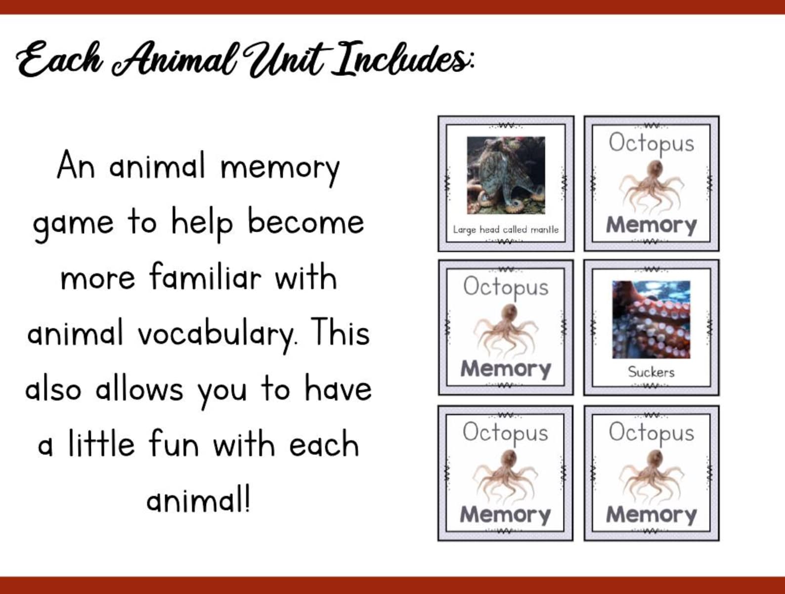 All About Octopus- Animal Science Unit - Etsy