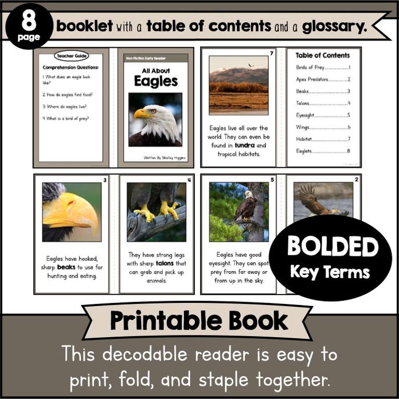 Eagle Nonfiction Early Reader Book | Birds of Prey Unit | Kindergarten ...