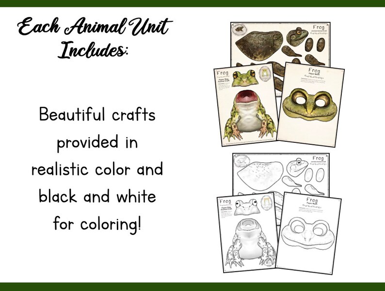 All About Frogs Animal Science Unit - Etsy