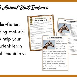 All About Giraffes- Animal Science Unit - Etsy