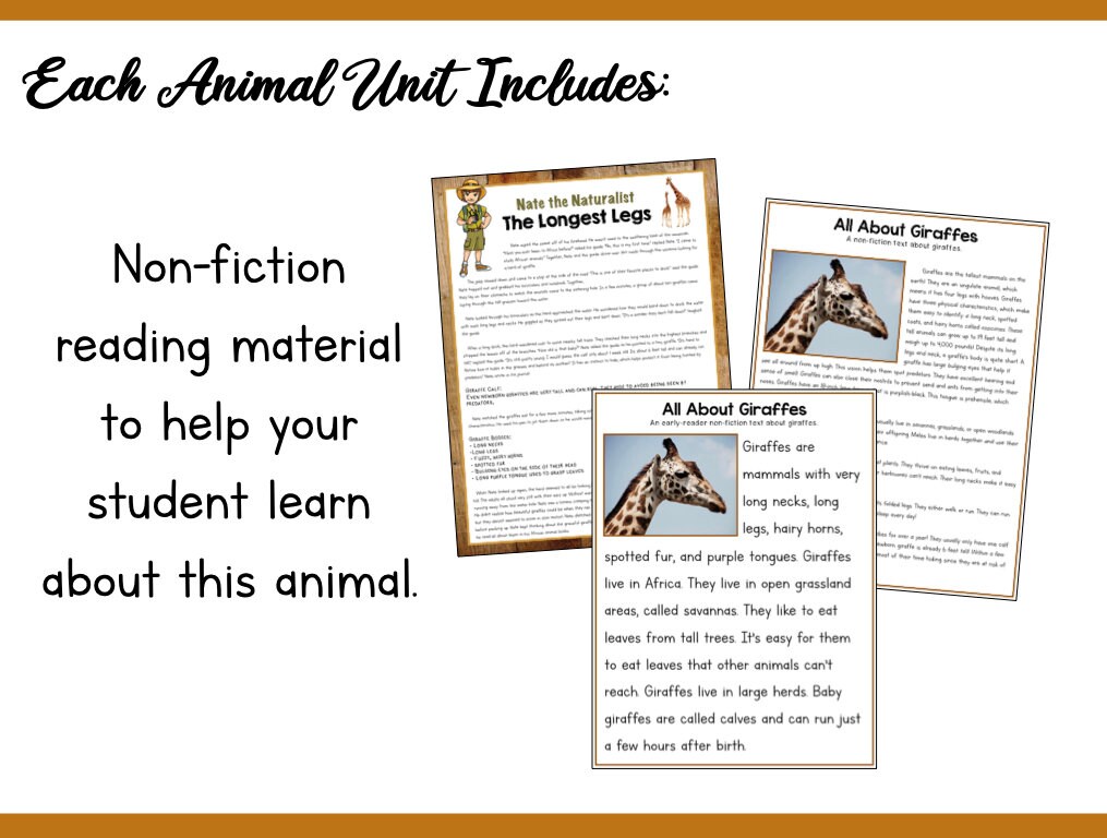 All About Giraffes Animal Science Unit - Etsy