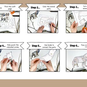 Wolf Jointed Animal Craft | Easy Assembly Articulated Wolf | Nature ...