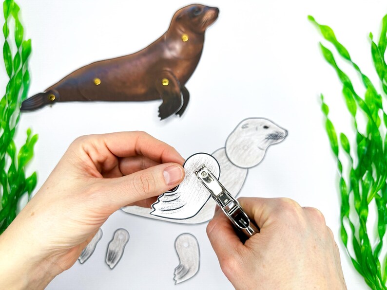 Printable Jointed Sea Lion Puppet Craft | Articulated Animal Template ...