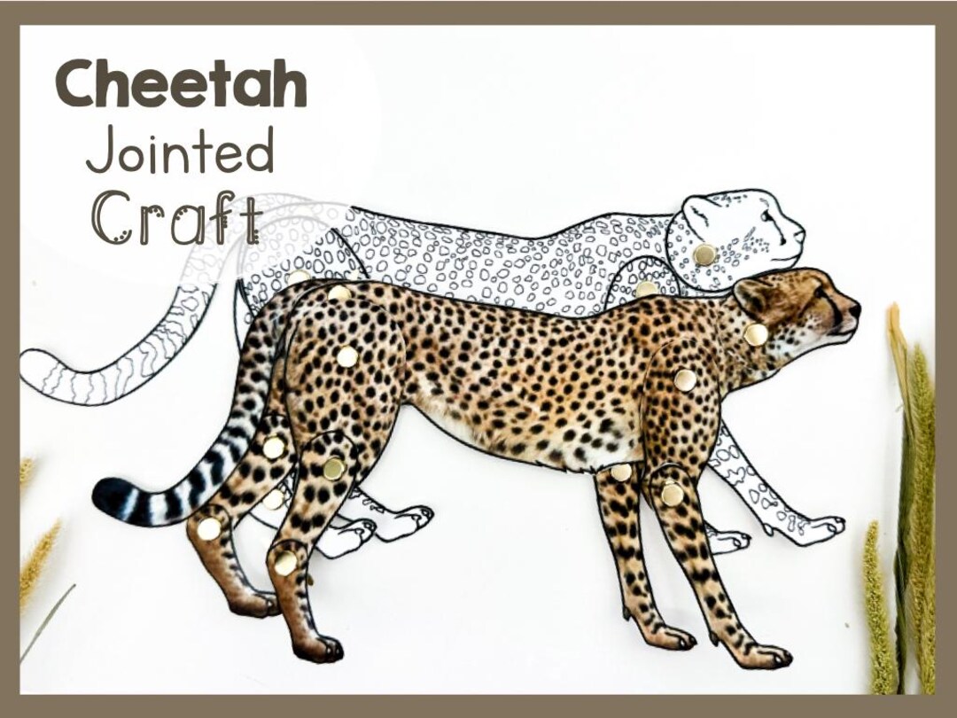 Articulated Cheetah Craft Template | Fun Moveable Animal Craft for ...