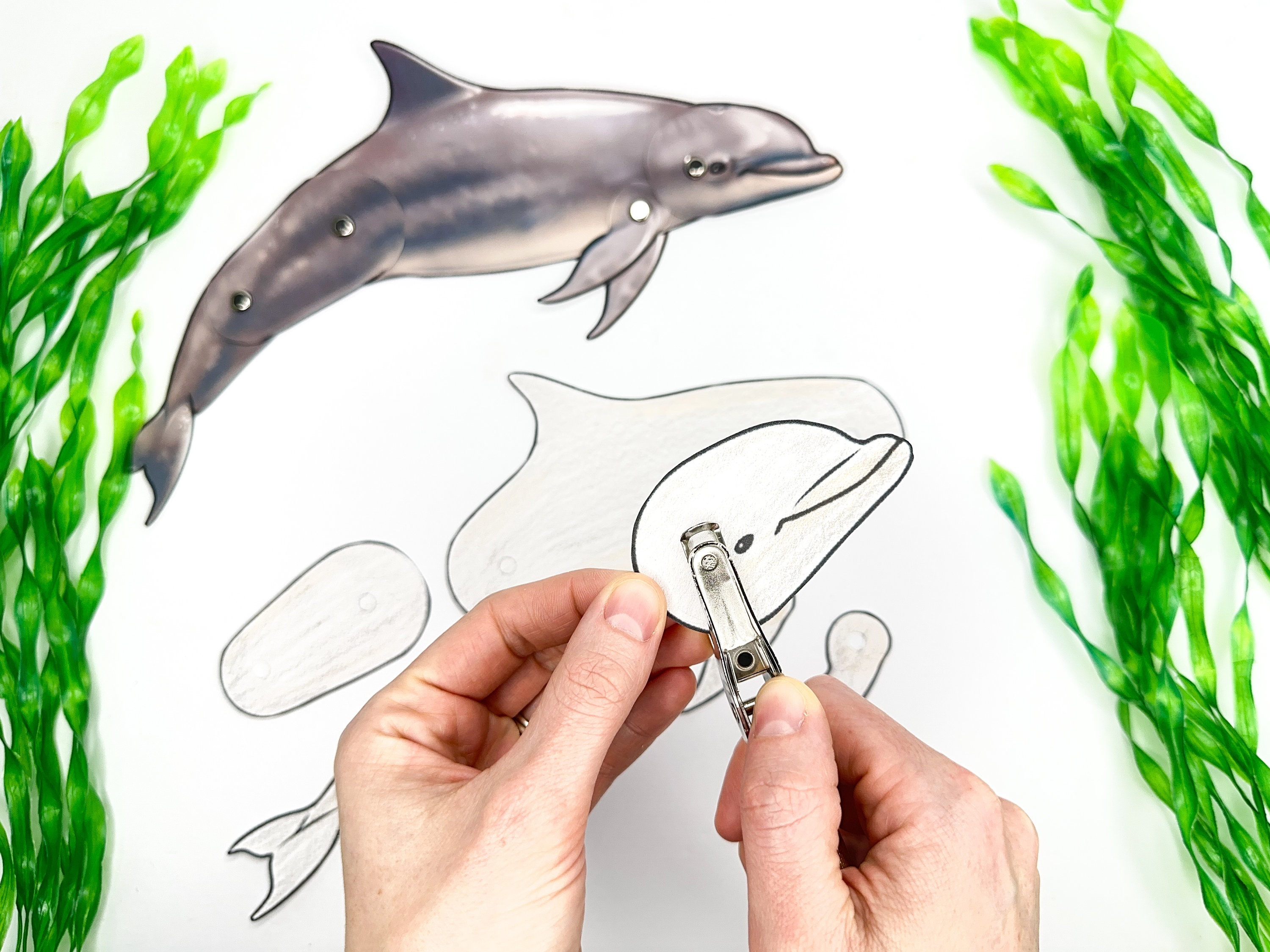 Articulated Dolphin Craft Template Jointed Printable Movable Marine ...