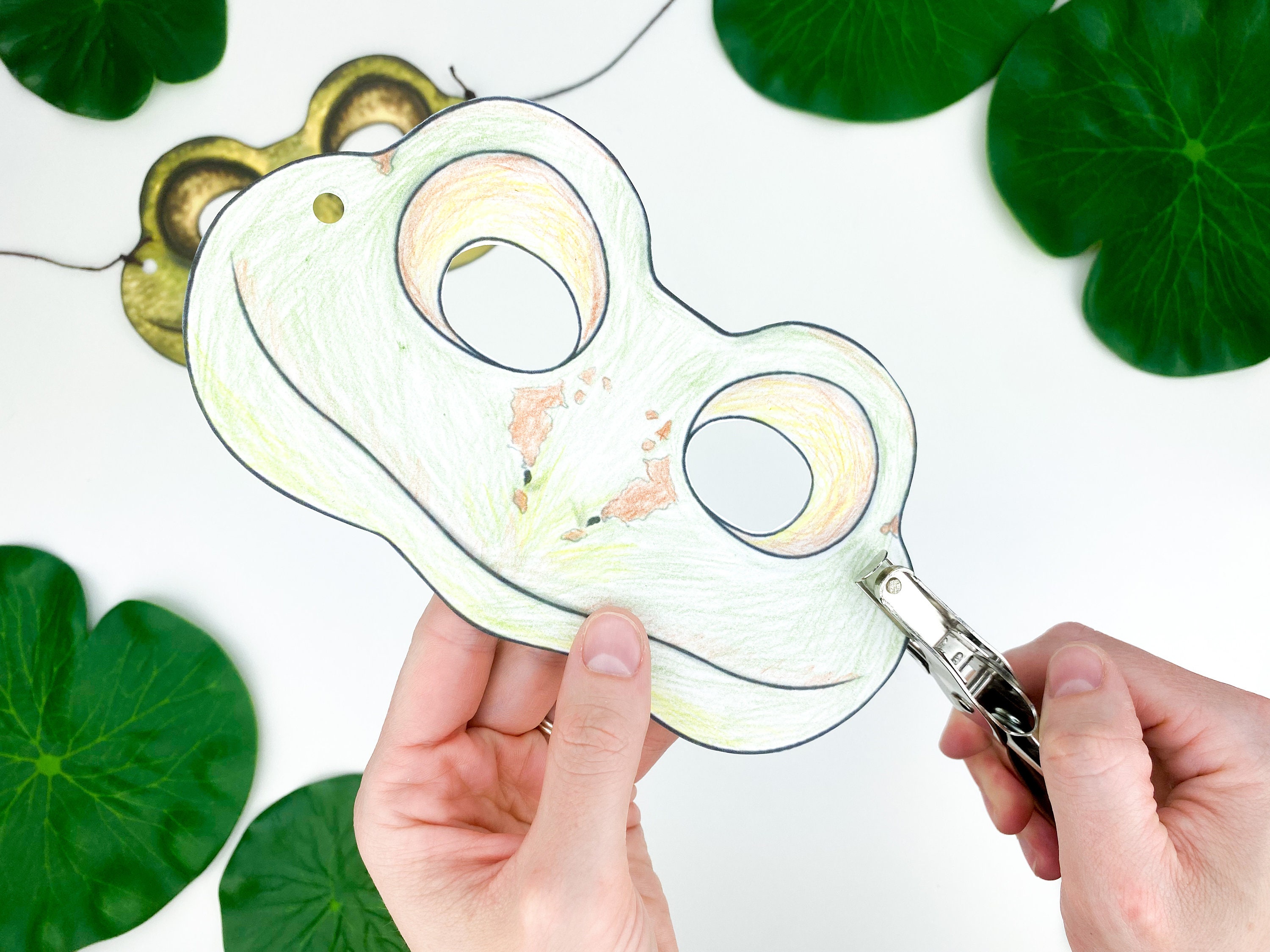 Frog Paper Mask | Animal Printable Paper Craft Template | Eco-friendly ...