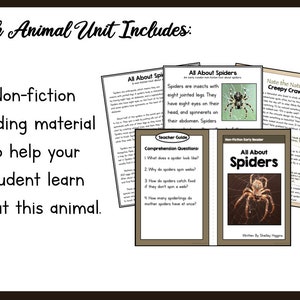 All About Spiders- Animal Science Unit - Etsy