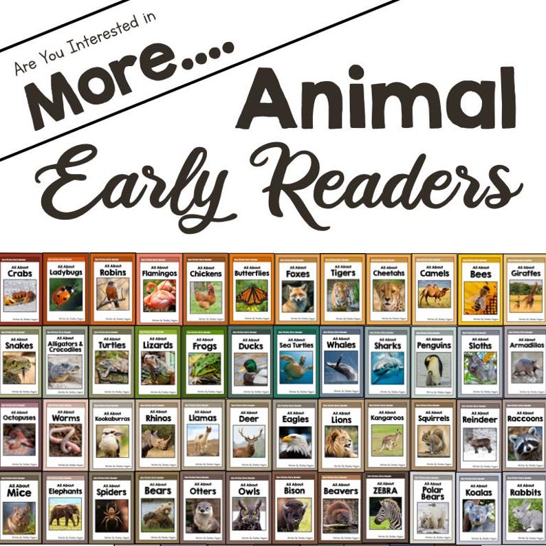 SHARKS Reading Comprehension Worksheets Reading Passages Short Stories ...