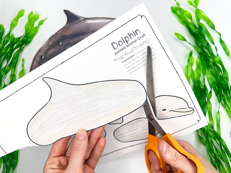 Articulated Dolphin Craft Template Jointed Printable Movable Marine ...