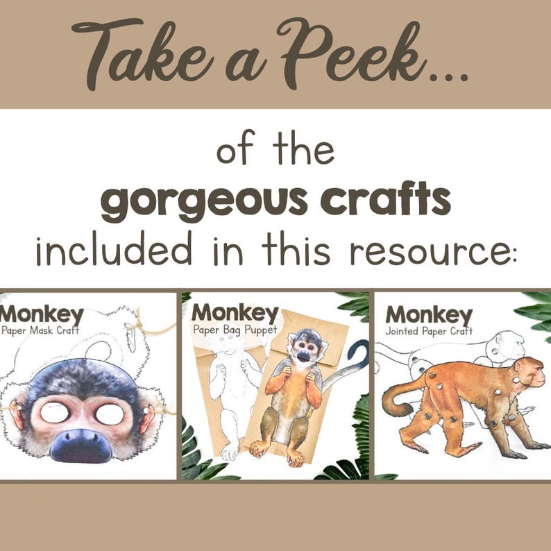 All About Monkeys- Animal Science Unit - Etsy