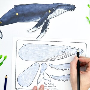 Printable Jointed Whale Puppet Craft | Articulated Animal Template for ...