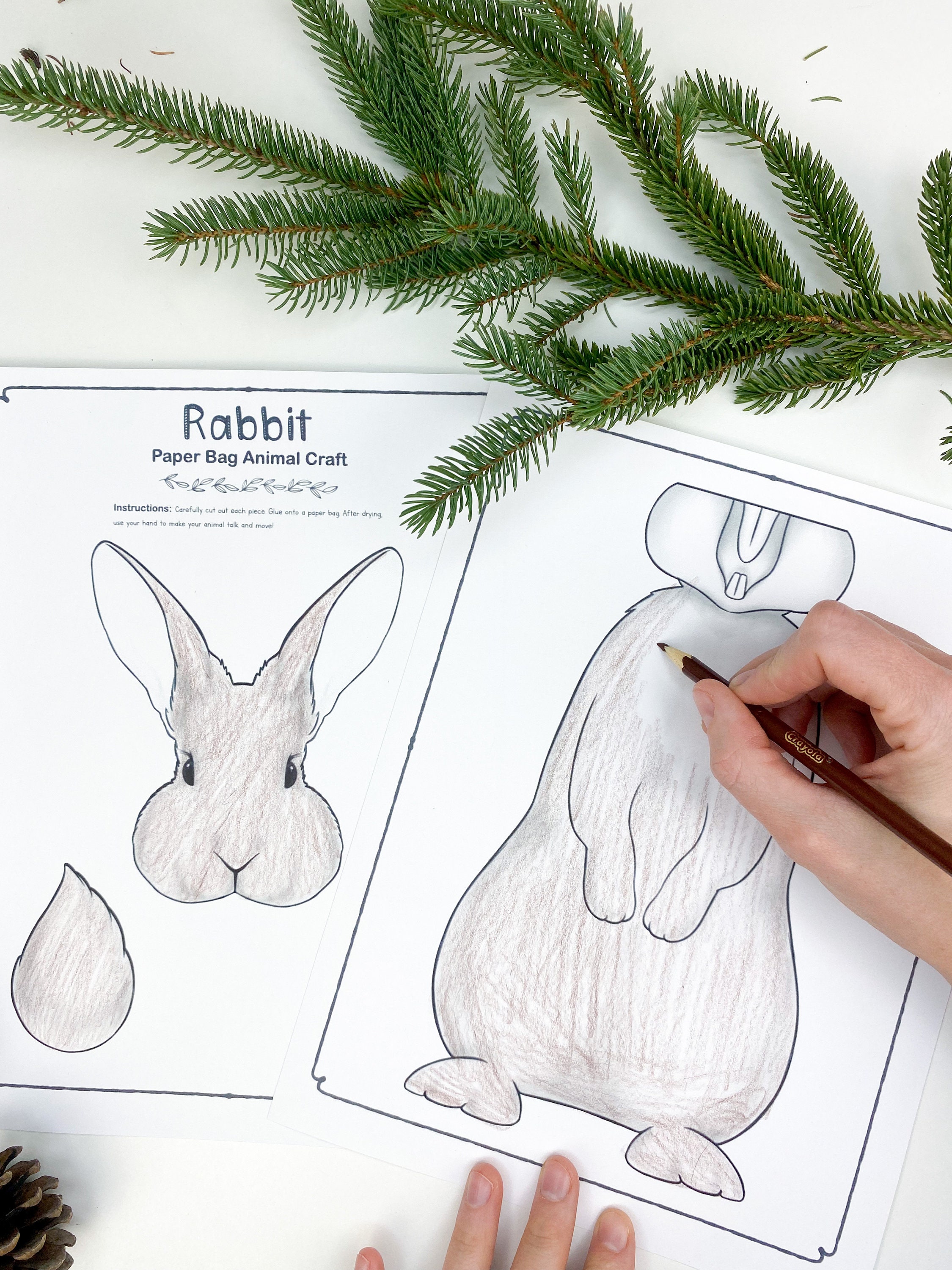 Rabbit Printable Mask Paper Animal Face Kit Fun Animal Interactive ...