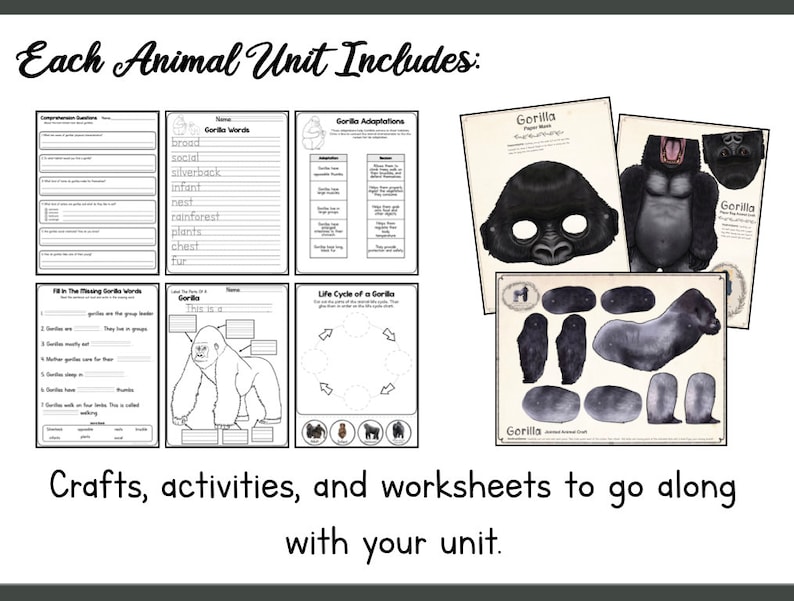 All About Gorillas- Animal Science Unit - Etsy