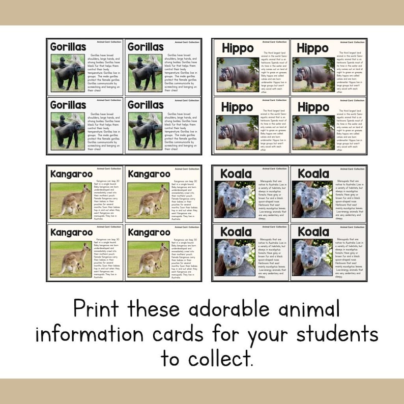 Animal Research Cards Printable No Prep | Animal Report Template ...