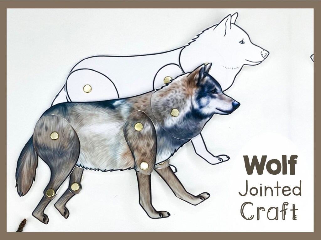 Wolf Jointed Animal Craft | Easy Assembly Articulated Wolf | Nature ...