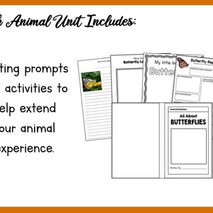 All About Butterflies- Animal Science Unit - Etsy