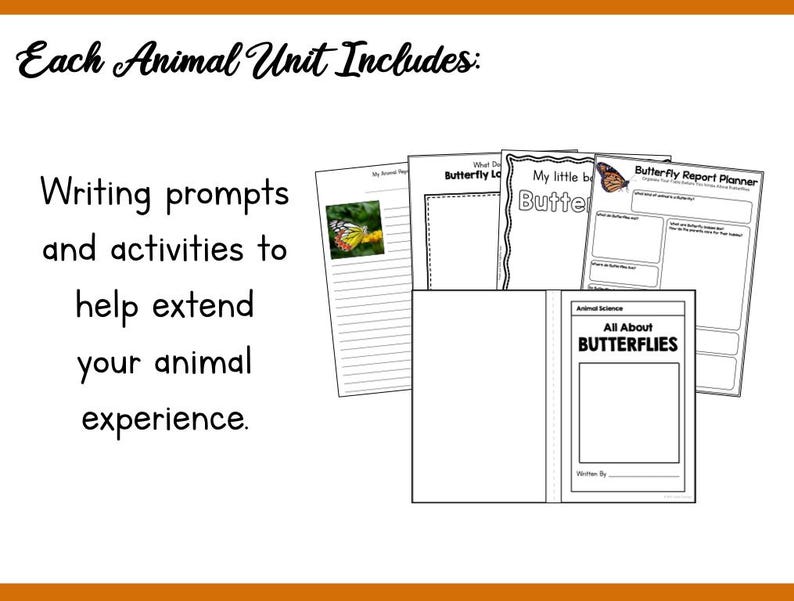 All About Butterflies- Animal Science Unit - Etsy