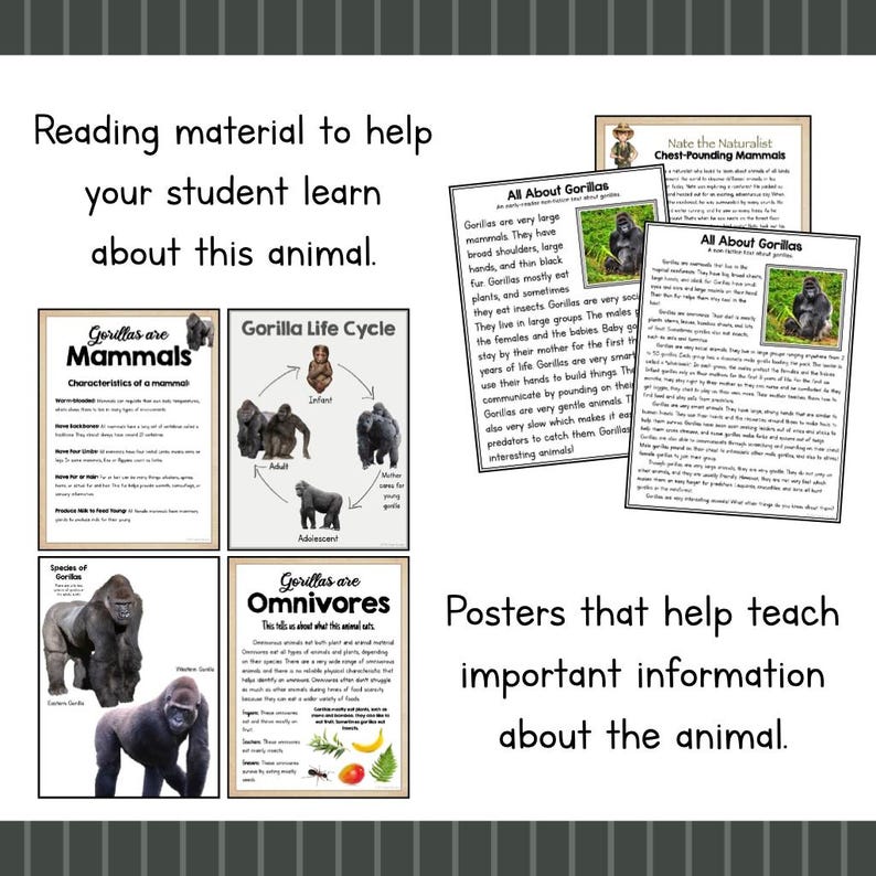 All About Gorillas- Animal Science Unit - Etsy