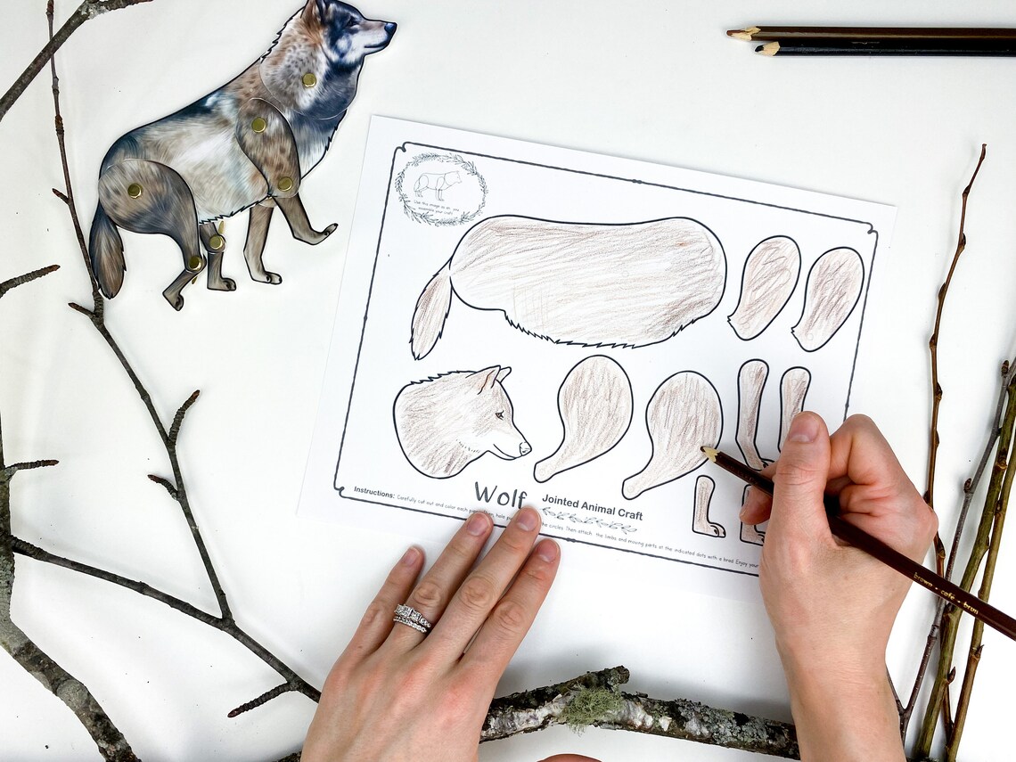 Wolf Jointed Animal Craft | Easy Assembly Articulated Wolf | Nature ...