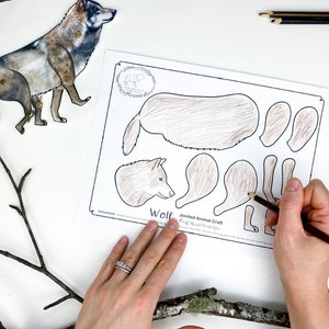 Wolf Jointed Animal Craft | Easy Assembly Articulated Wolf | Nature ...