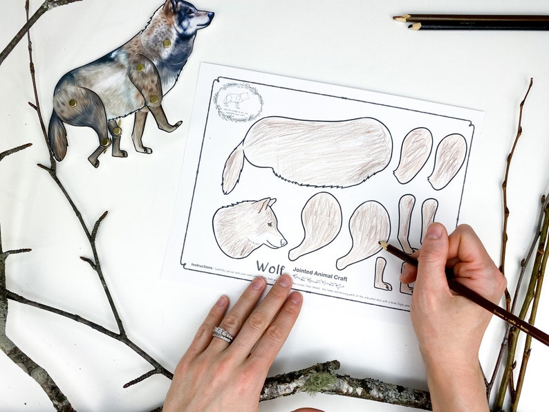 Wolf Jointed Animal Craft | Easy Assembly Articulated Wolf | Nature ...