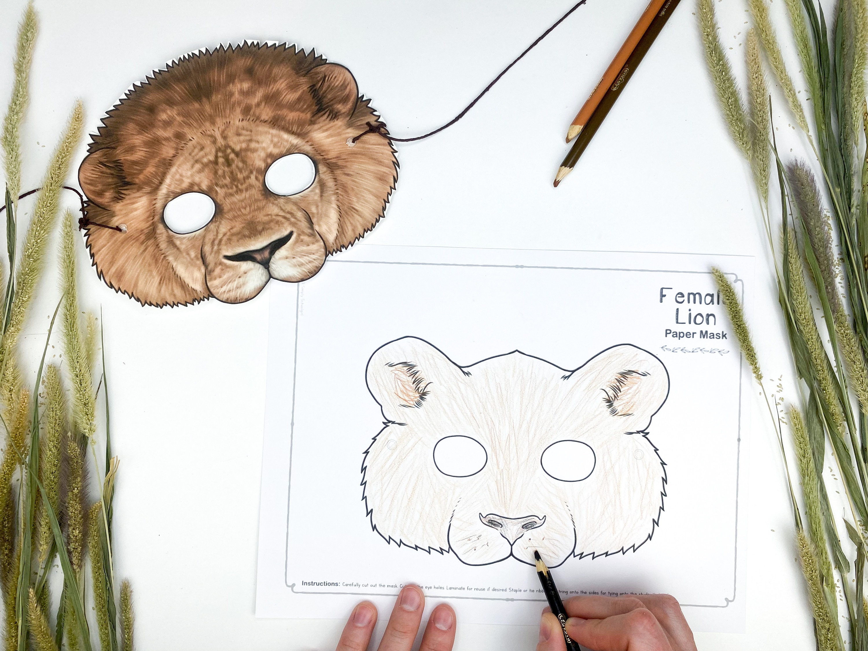 Lion Paper Mask Craft Kit | Printable Majestic Animal Mask Template ...