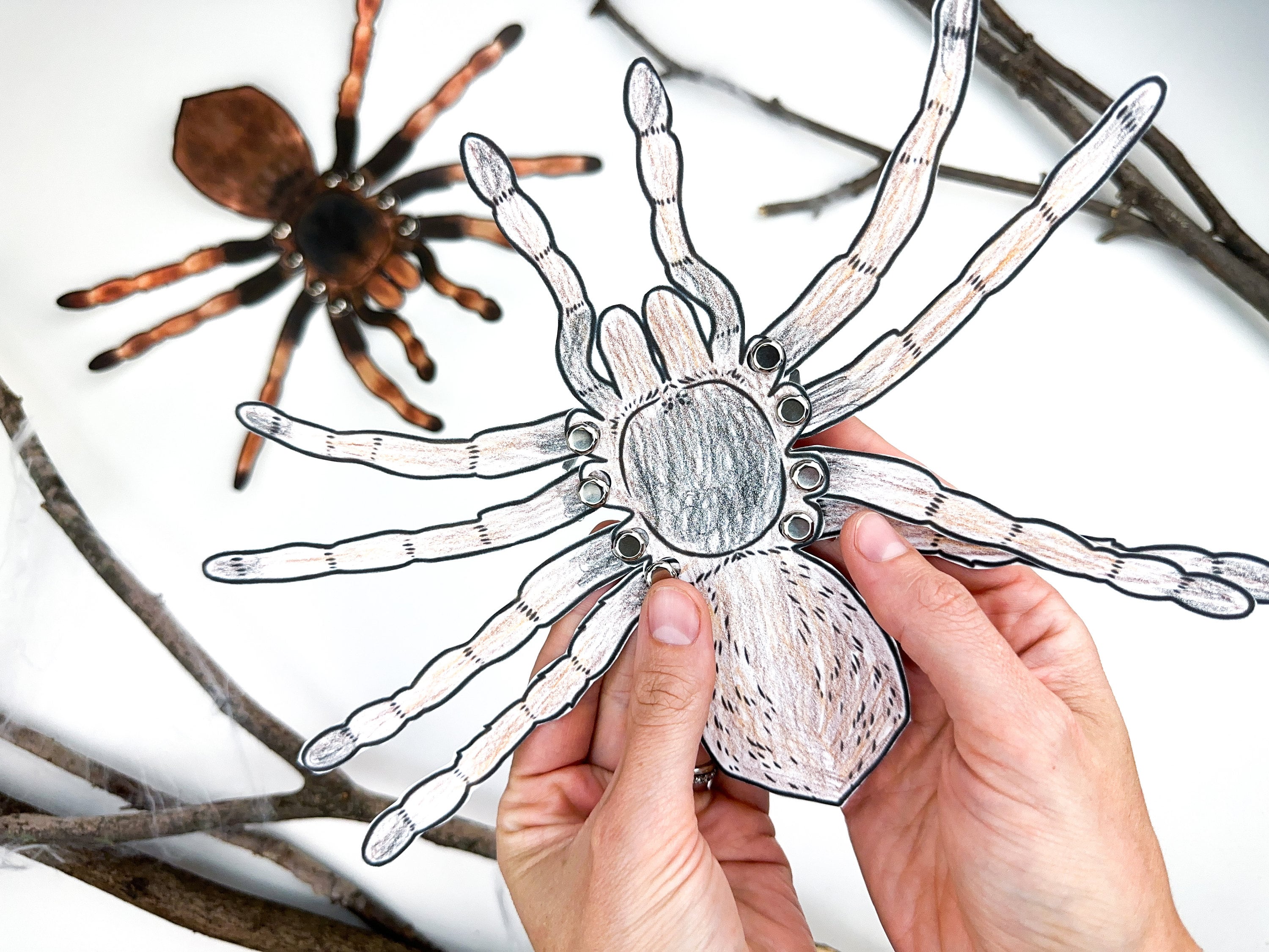 Printable Articulated SPIDER Puppet Craft Kit | DIY Jointed Animal ...