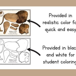 Printable Jointed Lion Template | Articulated Lion Craft Kit | DIY Lion ...
