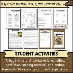 Squirrel Unit Study Printable No Prep | Animal Science Worksheets ...