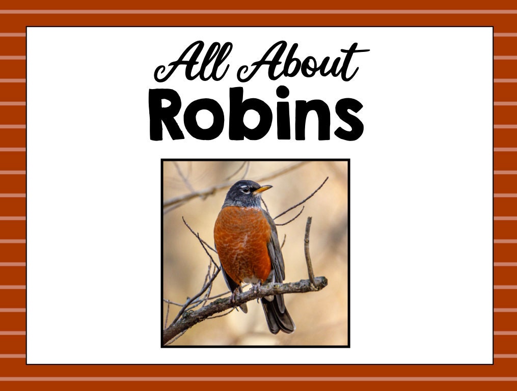 All About Robins- Animal Science Unit - Etsy
