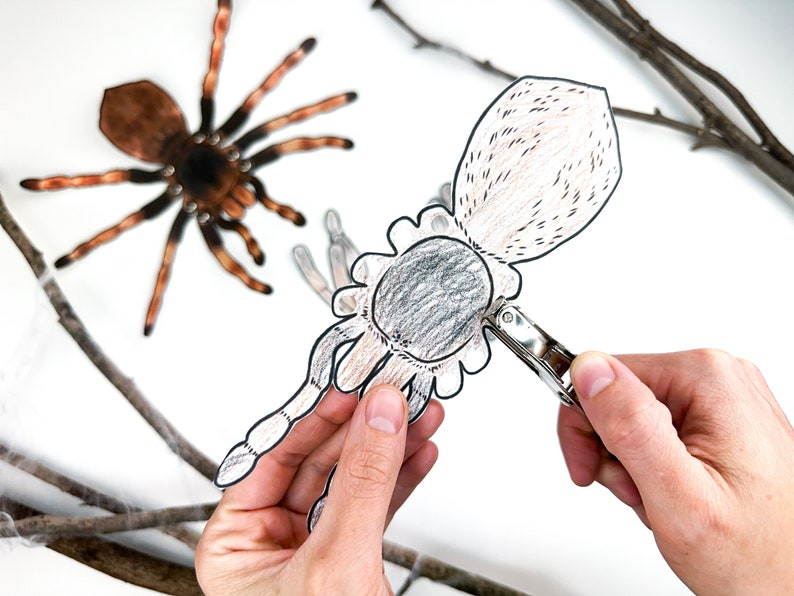 Articulated Spider Craft Kit | Printable Jointed Spider Puppet | Nature ...