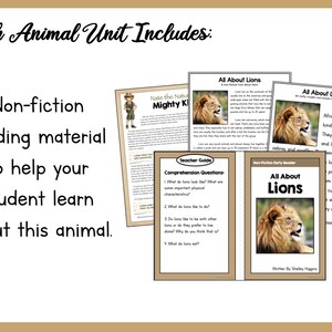 All About Lions- Animal Science Unit - Etsy