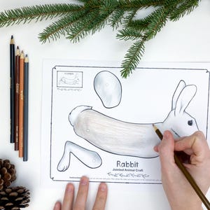 Rabbit Jointed Paper Craft Template | Realistic Articulated Bunny Craft ...