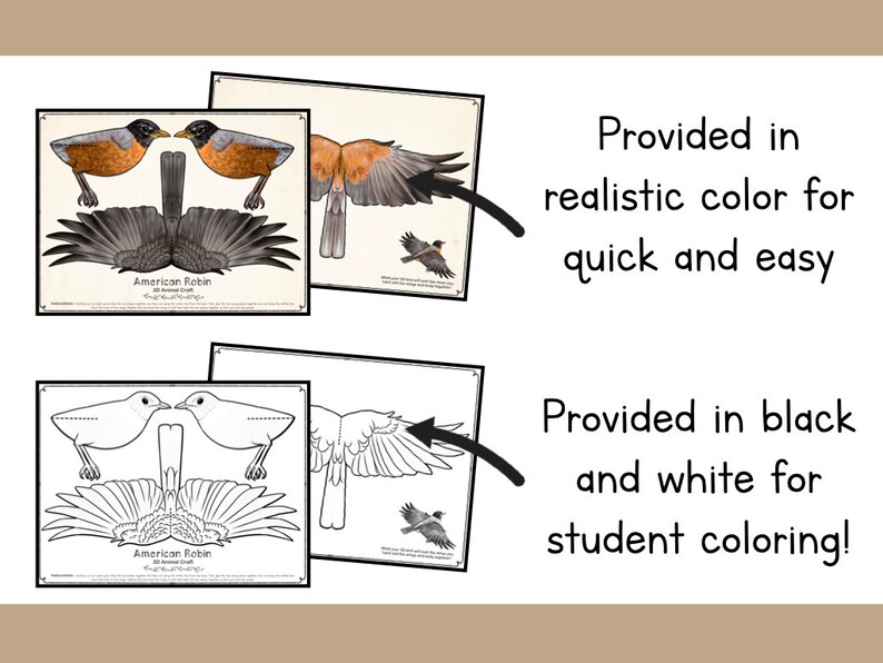 Robin 3D Paper Craft Kit | Hanging Bird Template | Nature Enthusiasts ...