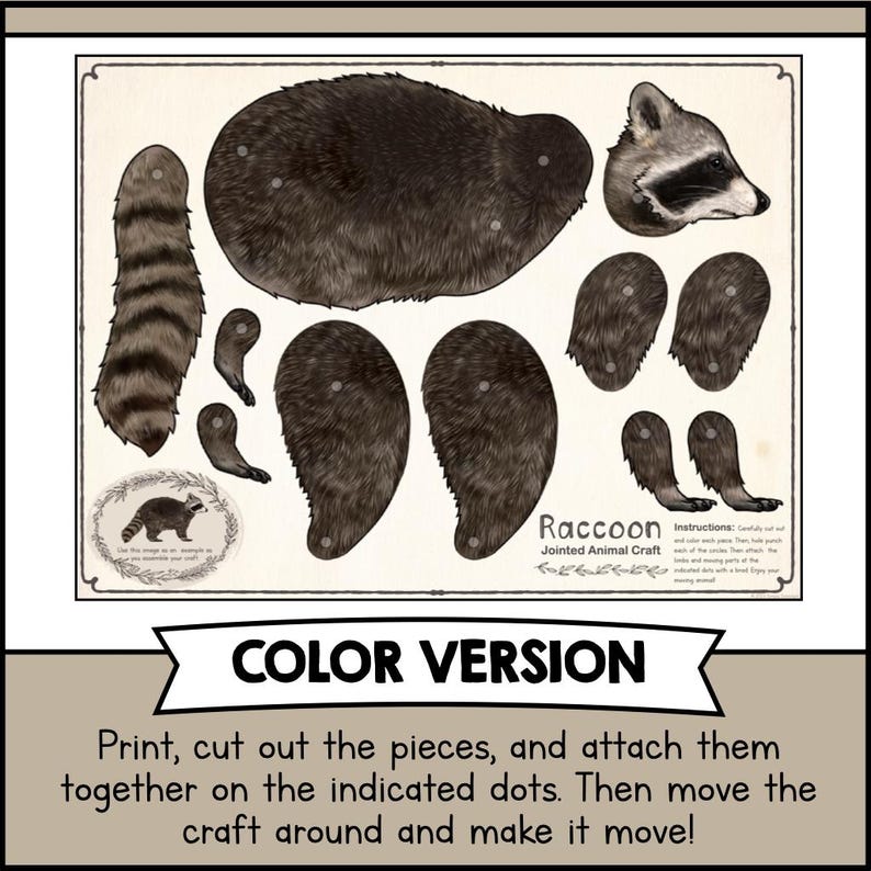 Printable JOINTED Raccoon Paper Puppet Craft Kit | DIY Articulated ...